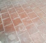 Impresa di Pulizie L'Edera (Emilia-Romagna, Ferrara, Via Navigazione, 66), temizlik şirketleri  Emilia‑Romagna'dan