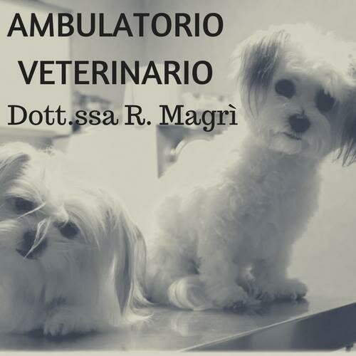 Tıbbi laboratuvarlar Ambulatorio Veterinario Dott. ssa Rosaria Magrì, Katanya, foto