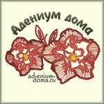 Adenium doma (Admirala Lazareva Street No:6), tohum satan yerler  Moskova'dan