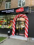 Beru Vyhodnoy (Stroiteley Street No:7к1), bira dükkanı  Moskova'dan