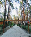 Chayka (Volgograd Region, Uryupinskiy rayon, Akchernskoye selskoye poseleniye, stanitsa Tepikinskaya), tatil köyleri  Volgogradskaya oblastından