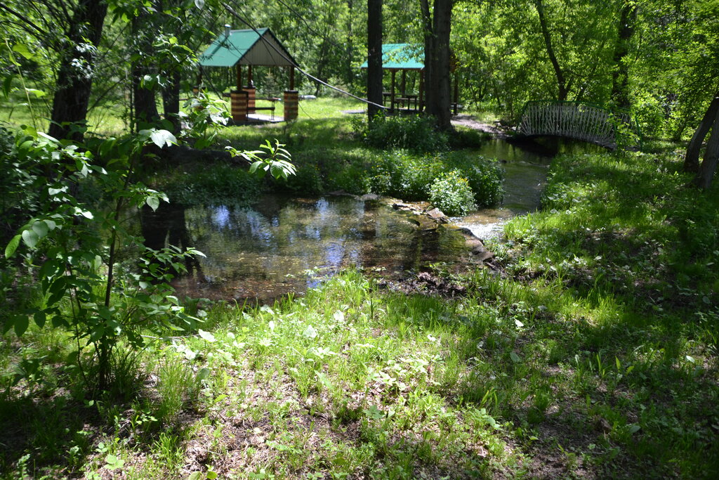 Pınar, çay Родник Крюковский, Orenburgskaya oblastı, foto
