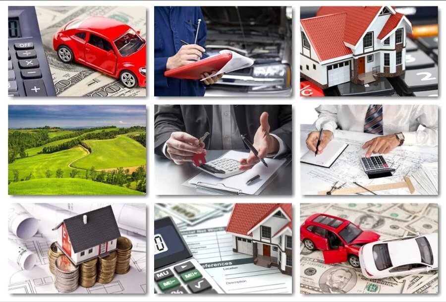 Eksper büroları Expertiza, Şuya, foto