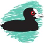 Coot Freight Ltd (London, London Borough of Brent), nakliye firmaları  Londra'dan