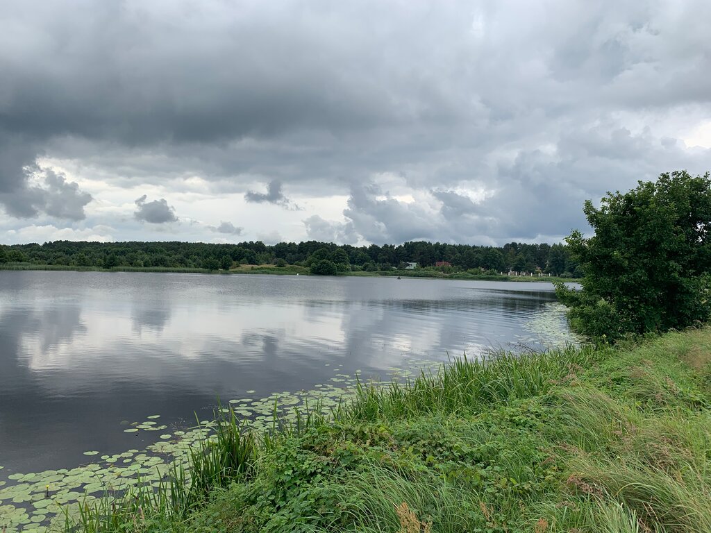 Doğa Shebrinsky zaliŭ, Brestskaya oblastı, foto