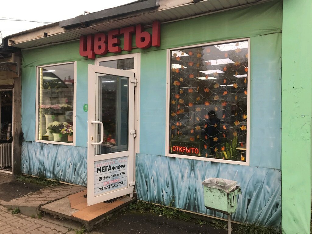 Çiçekçiler Мегафлора, Yaroslavl, foto