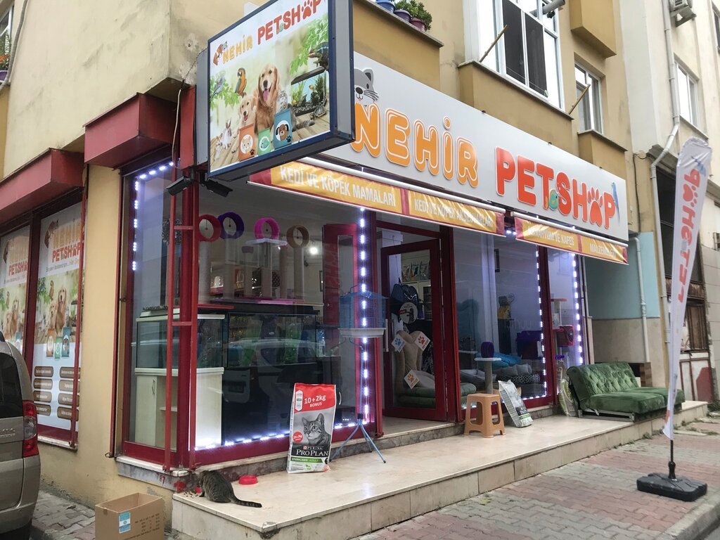 Akvaryumlar Kaçkar Petshop, İstanbul, foto
