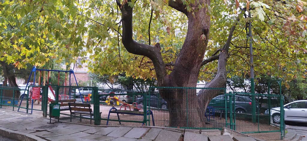 Oyun alanı Playground, Kırım Cumhuriyeti, foto