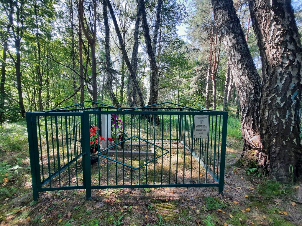 Ünlü kişilerin mezarları Могила И.Л. Костеева, Kalujskaya oblastı, foto