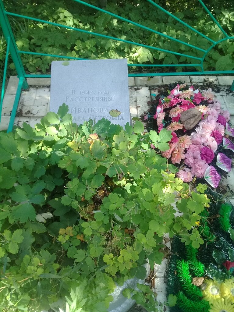 Anıt, heykel Захоронение партизана, Pskovskaya oblastı, foto