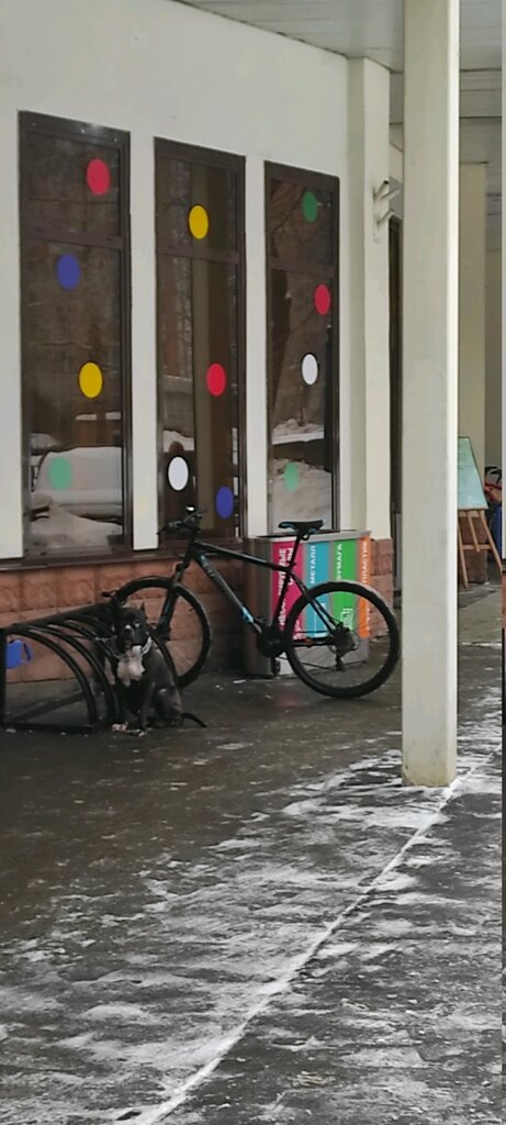 Bisiklet park yerleri Bicycle parking, Moskova, foto