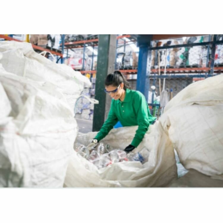 Bisiklet mağazaları Ciclos Integrales, Cali, foto