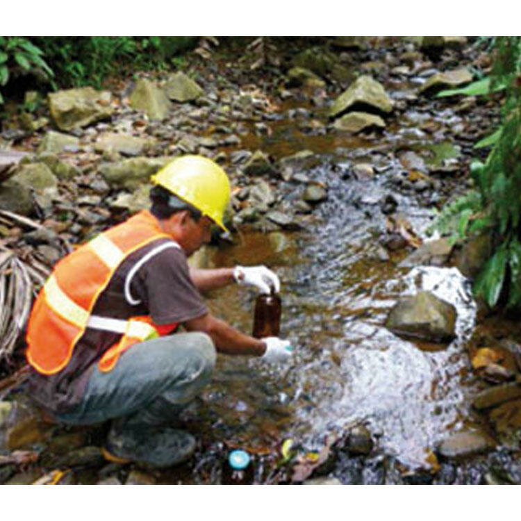 Mali denetleme şirketleri Corporación de Desarrollo Ambiental, S A, Panama, foto