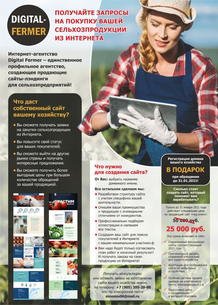 Pazar araştırma firmaları Digital Fermer, Volgograd, foto