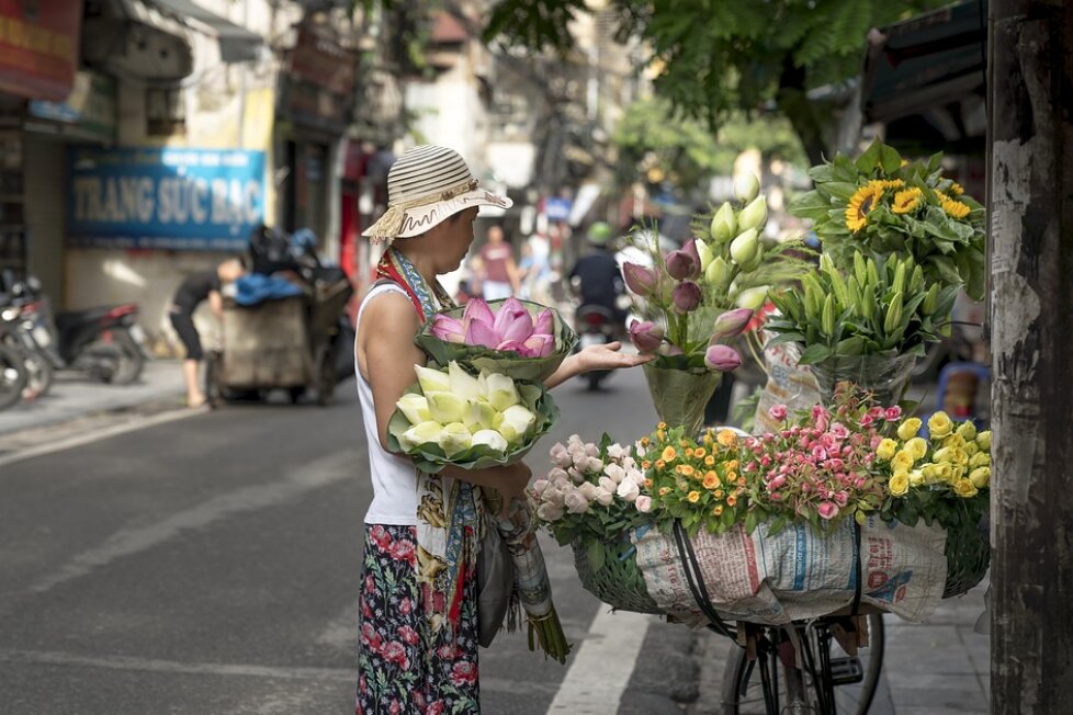 Ses ve ışıklandırma ekipmanları firmaları Jardin Angelo'S Floristeria, , foto