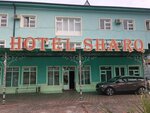 Shark Hotel (Barkamol Avlod tor koʻchasi No:15), otel  Termez'den