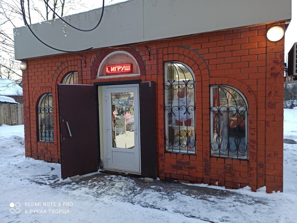 Çocuk oyunları ve oyuncakları My Reborn, Himki, foto