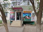 Ziba (Bratyev Zhubanovykh Street No:273), market  Aktöbe'den