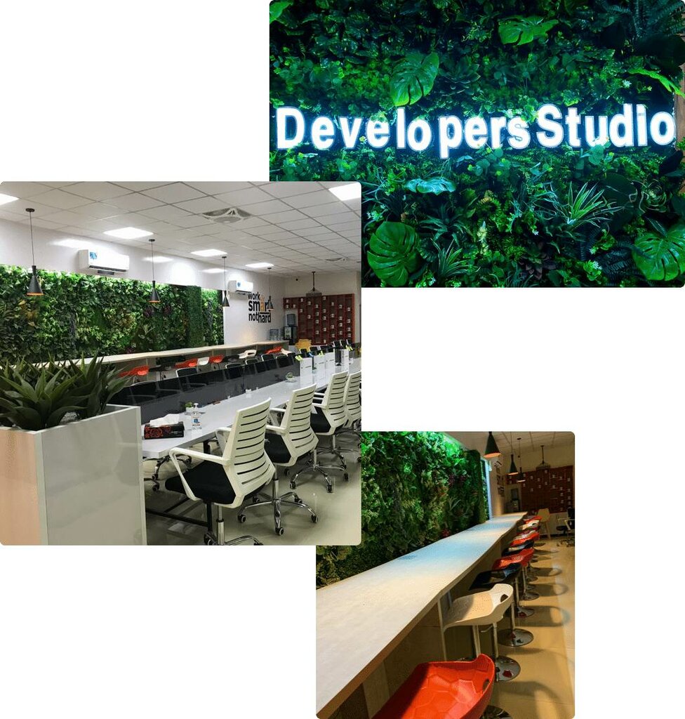 Web tasarım hizmetleri Developers studio, Lahor, foto