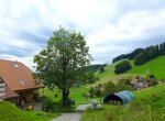 Baummensch GmbH (Bern, Thun, Seestrasse, 20), peyzaj tasarımı  Thun'dan