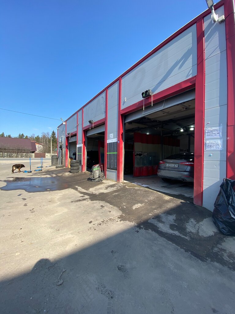 Oto yıkama Avtomoika24, Moskova ve Moskovskaya oblastı, foto