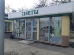 Цветы (ulitsa Lenina No:7), çiçekçiler  Novokuznetsk'ten