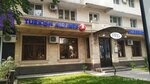 Turkish airlines (Shota Rustaveli Street No:28), havacılık şirketleri  Taşkent'ten