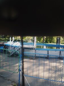 Дискобот Юнга (Moscow Region, Leninskiy City District, Vidnoye, 2-y mikrorayon), lunapark  Vidnoye'den