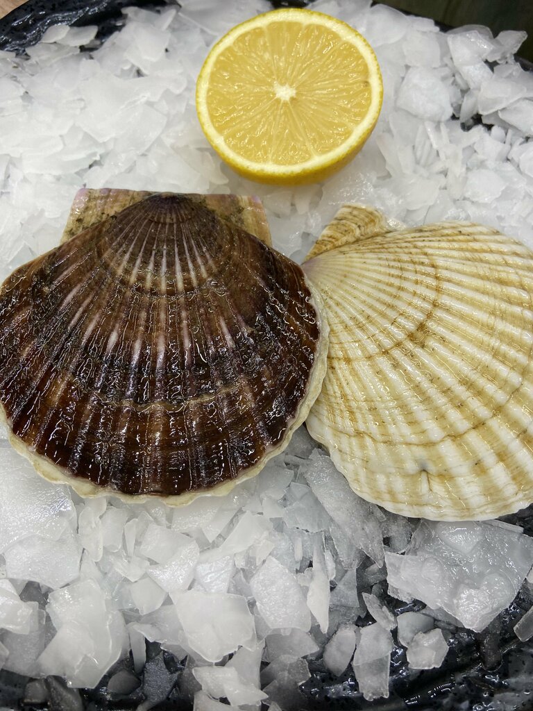 Balık ve deniz ürünleri Oysters and crab, Moskova, foto