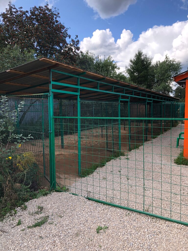 Hayvanat bahçesi merkezi Instinct, Moskova, foto