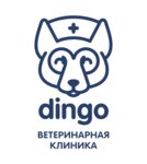 Dingo (Maskoŭski praspiekt No:46), veteriner klinikleri  Vitebsk'ten