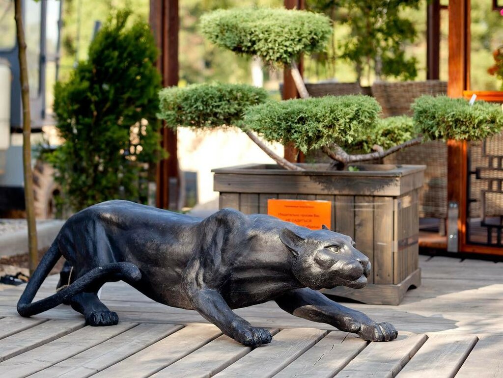 Mobilya mağazaları Bogacho, Saratov, foto