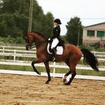 Dispetcherskaya sluzhba taksi Olgino (Primorskoye Highway No:4к2АЛ), taksi  Saint‑Petersburg'dan