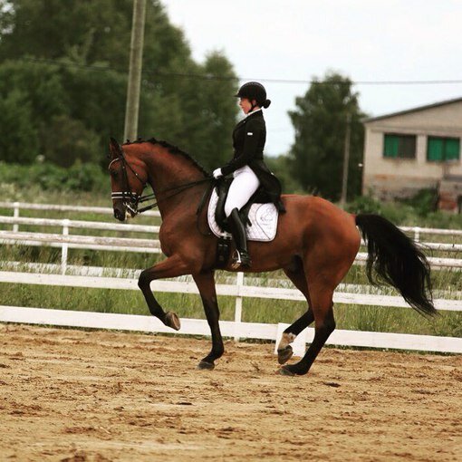 Taksi Dispetcherskaya sluzhba taksi Olgino, Saint‑Petersburg, foto