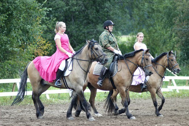 At ve binicilik kulüpleri Sportivno-ozdorovitelny kompleks Ivkinskiye luga, Kirovskaya oblastı, foto