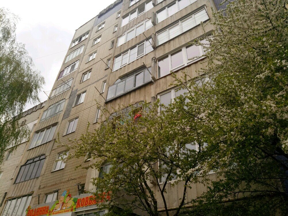 Alkollü içecekler Овація, Lviv, foto