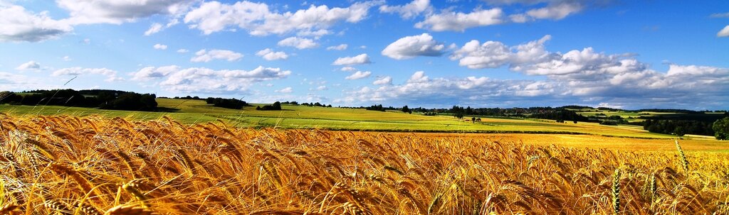 Yem ve yem katkı maddeleri КФХ Абрамова, , foto