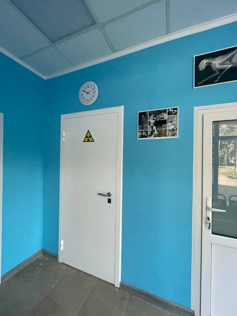 Veteriner klinikleri Ветсервис, Tiumen, foto