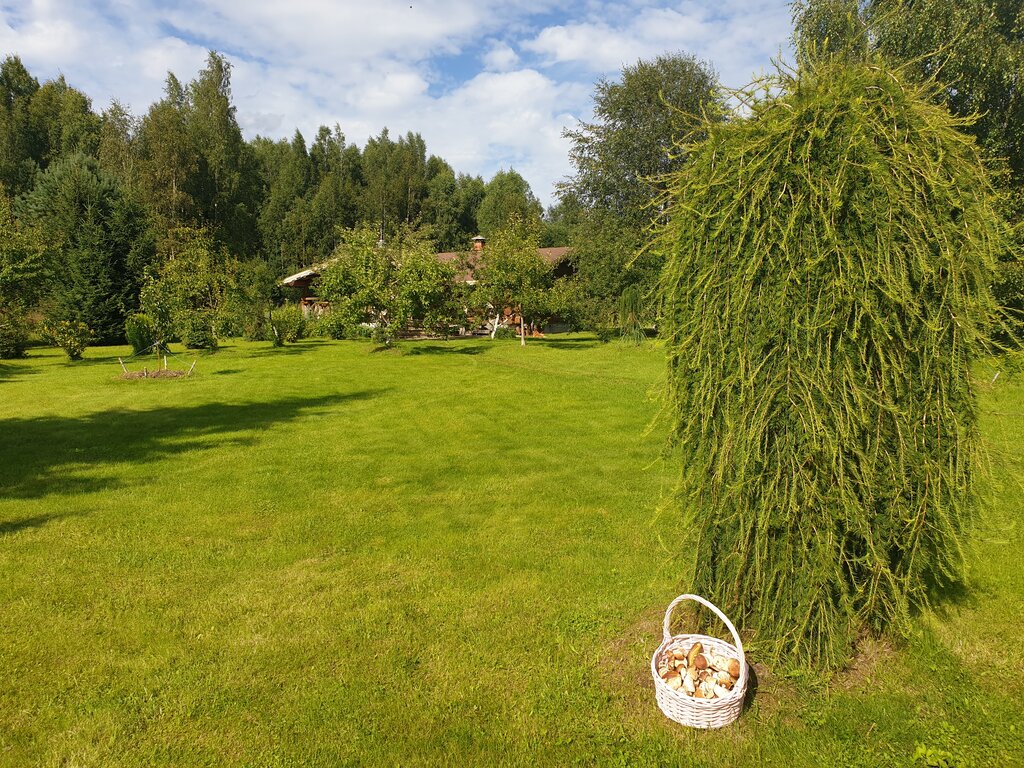 Resort oteller, tesisler Веселый трутень, Smolenskaya oblastı, foto