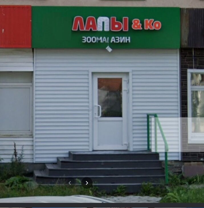 Petshop Лапы и Ко, Perm, foto