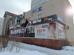 Flowers Express (Aleksandra Korsunova Avenue No:51к1, Velikiy Novgorod), çiçekçiler  Velikiy Novgorod'dan