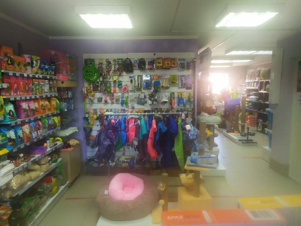 Petshop Звездный мопс, Berdsk, foto