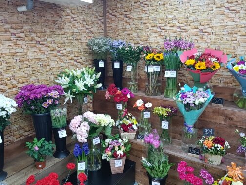 Çiçekçiler Floria, Nijni Novgorod, foto