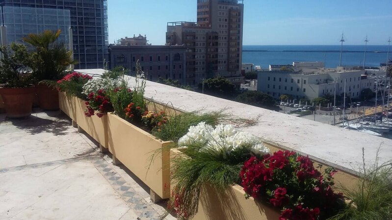 Bahçe ekipmanları ve teknolojileri Murranca Valentina, Cagliari, foto