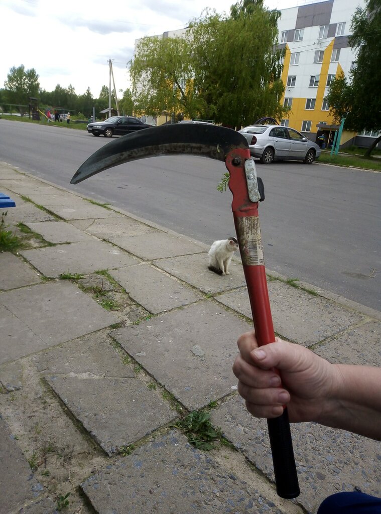 Oyun alanı Детская площадка МСО, Mogiliovskaya oblastı, foto