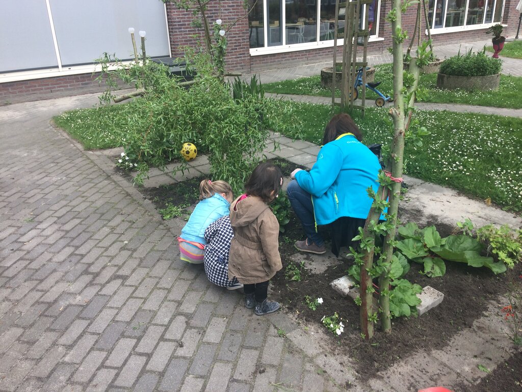 Anaokulları Humankind - Kinderdagverblijf Snorkelland, , foto
