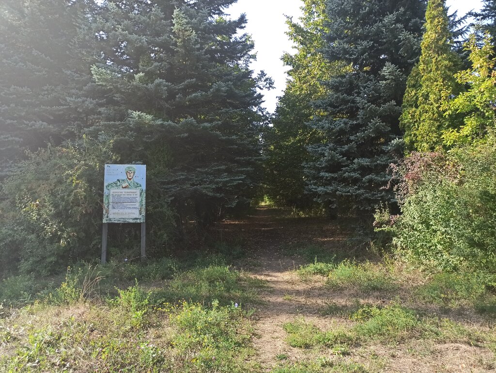 Kültür ve eğlence parkları Явлейка, Nijegorodskaya oblastı, foto