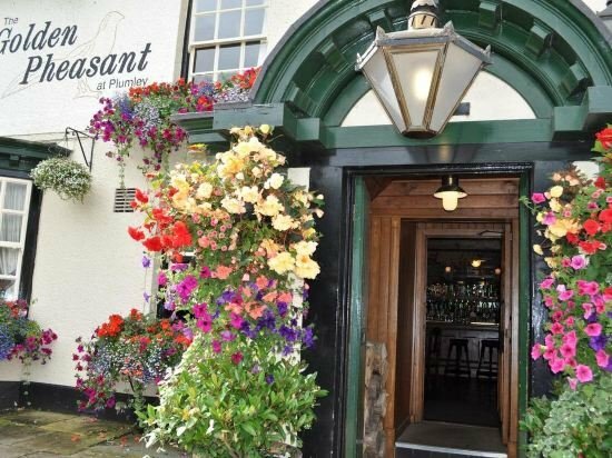 Otel The Golden Pheasant, İngiltere, foto