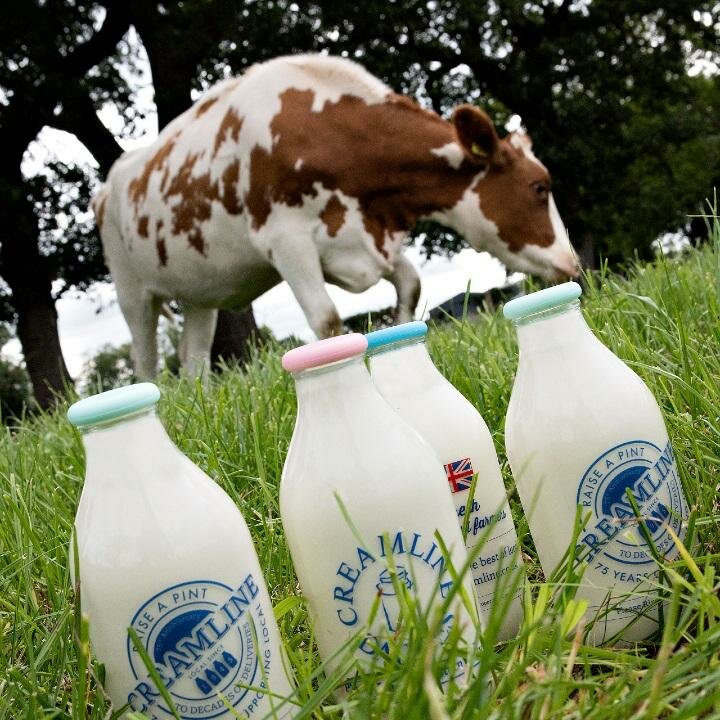 Market Creamline Dairies, İngiltere, foto
