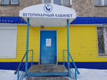 Ветеринарный кабинет (ulitsa Frunze No:137), veteriner klinikleri  Nijniaya Salda'dan